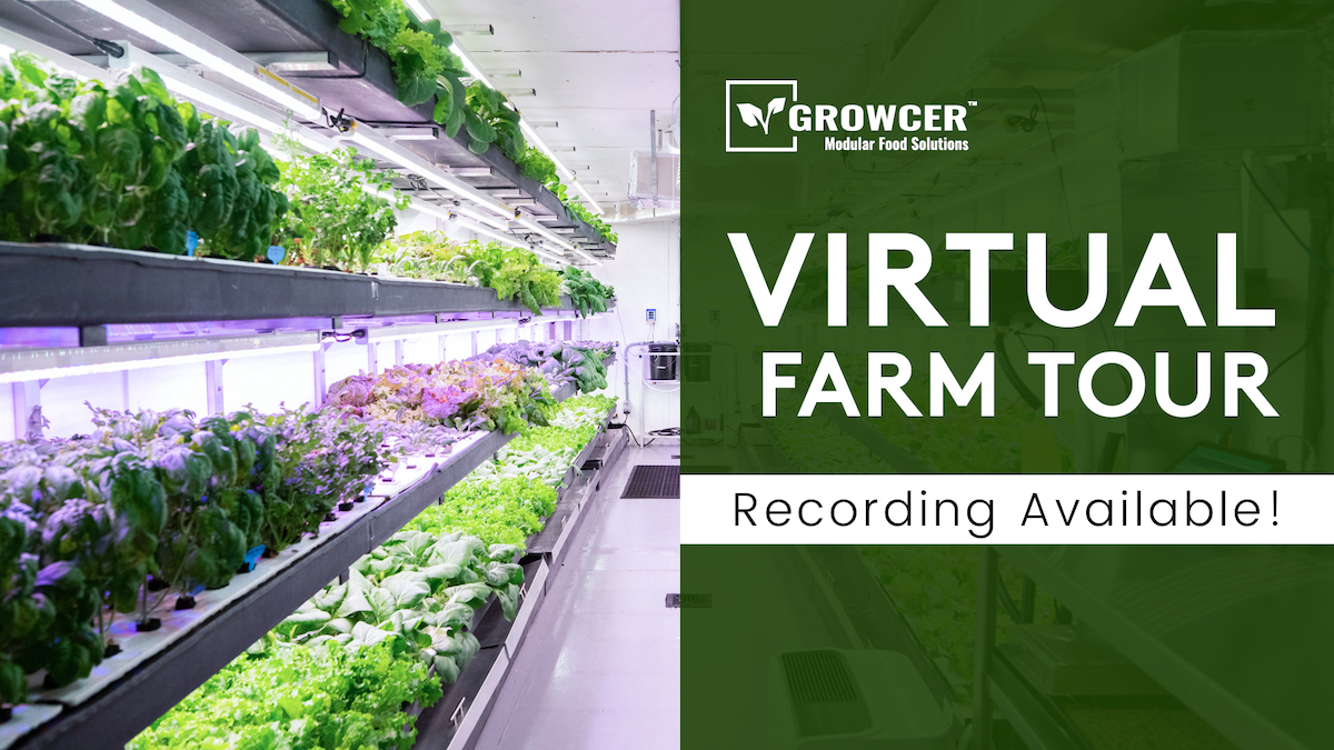 Container Farming Canada: 100% Designed & Built in Canada — Growcer