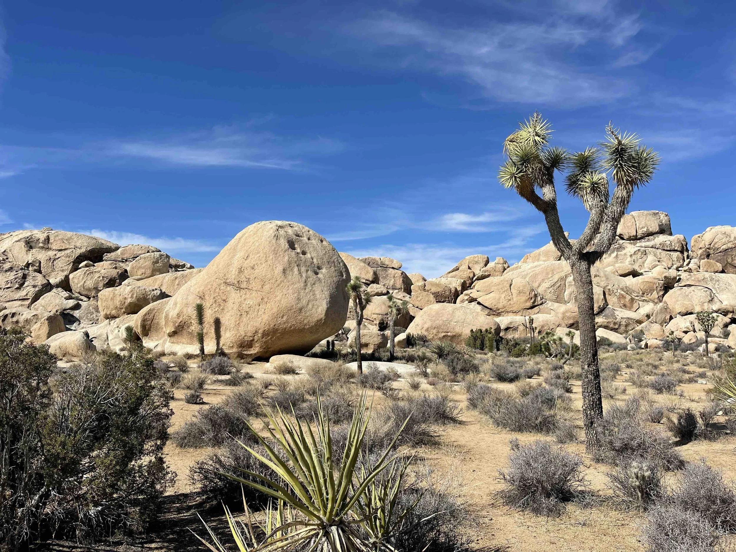 Yoga Retreat Center For Hire Joshua Tree California