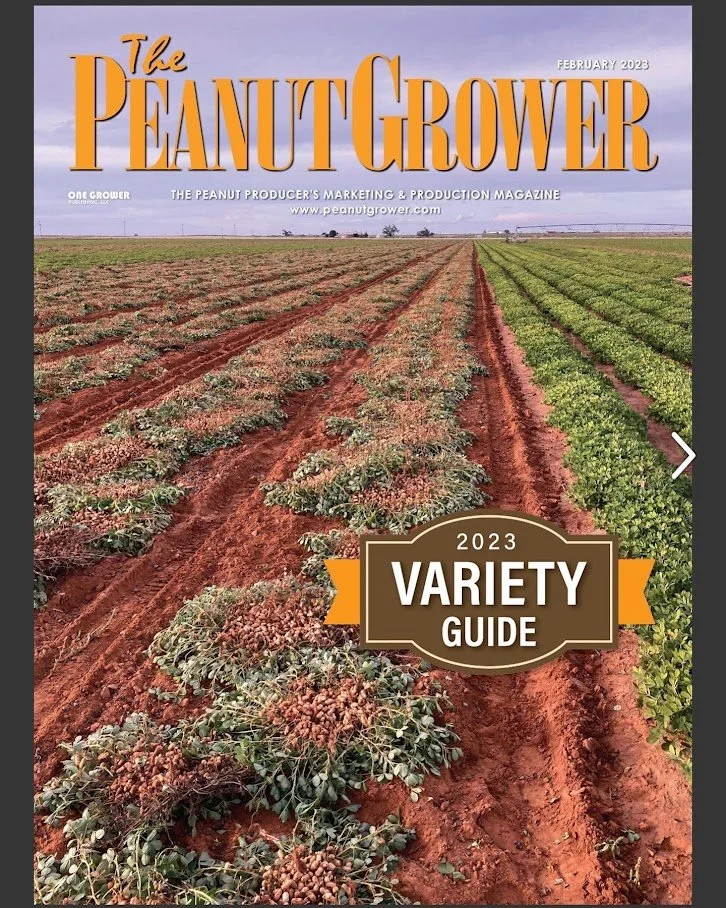 International Peanut Group