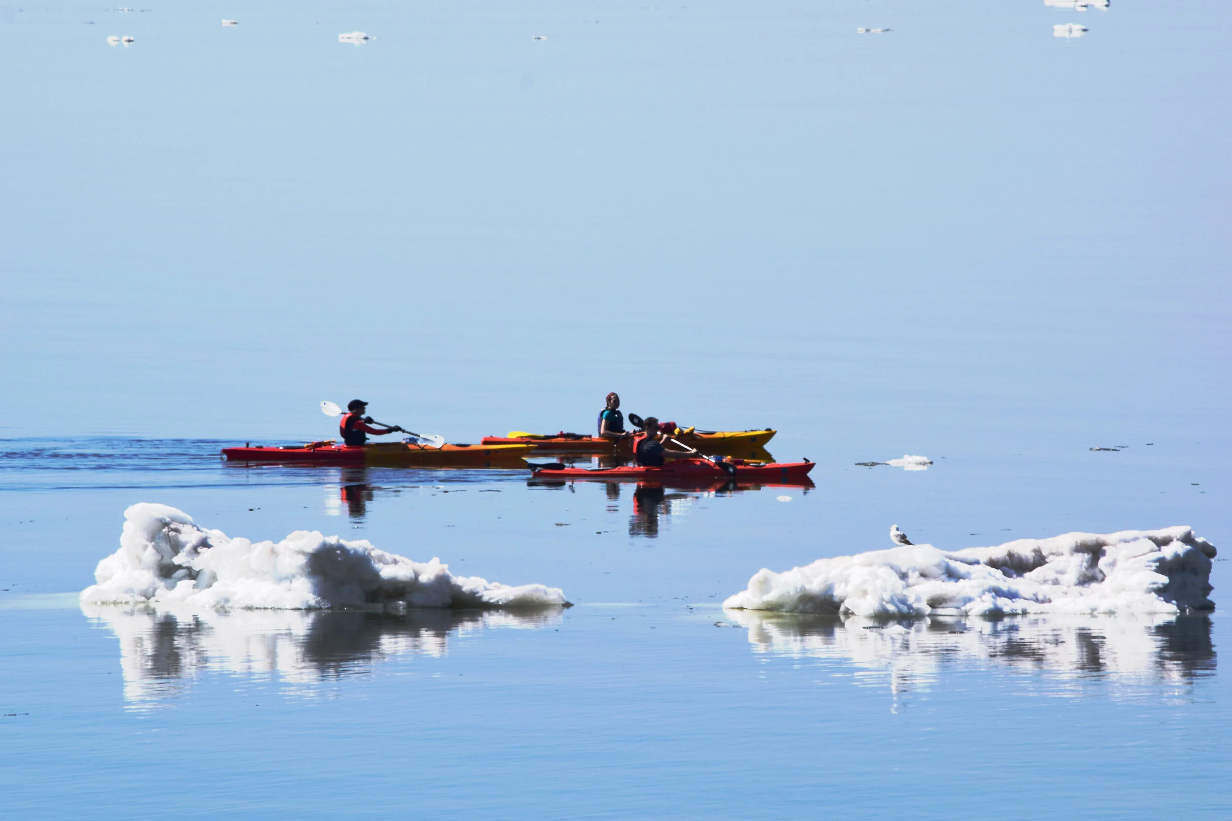 Kayaking Duluth — Day Tripper of Duluth