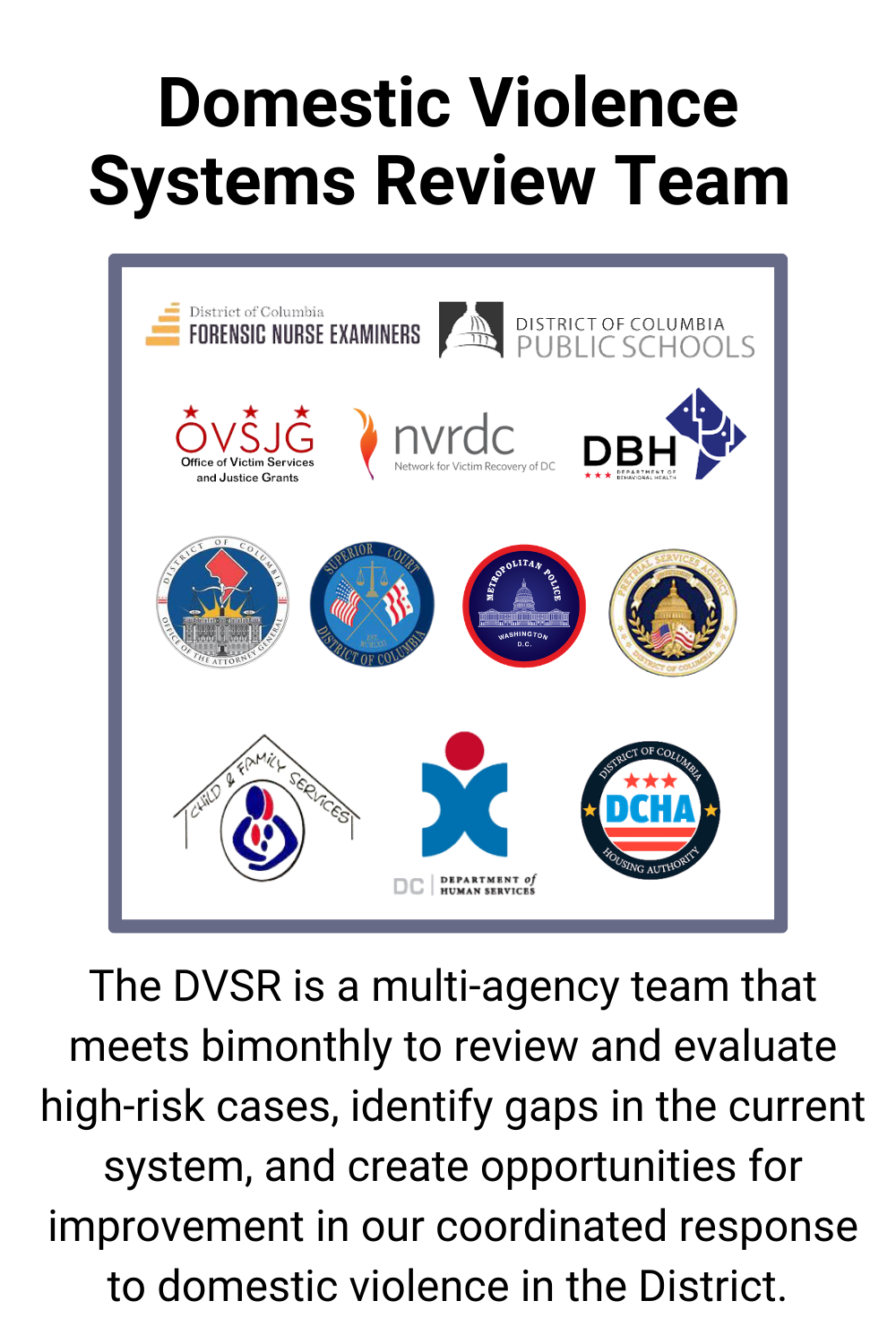 Systems Advocacy - Improving Community Safety — DC SAFE