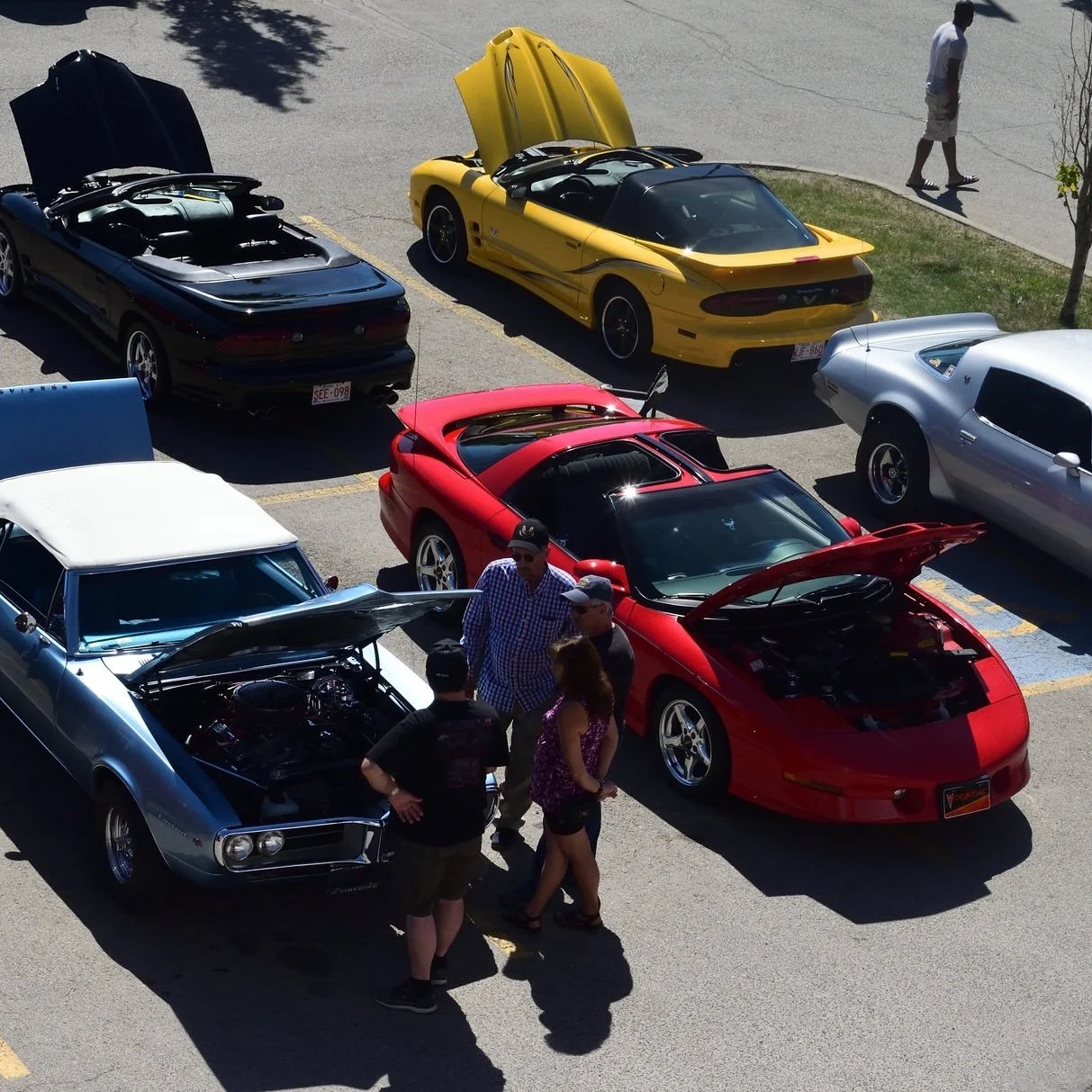 Cars, Community and Causes — Calgary Firebird Club