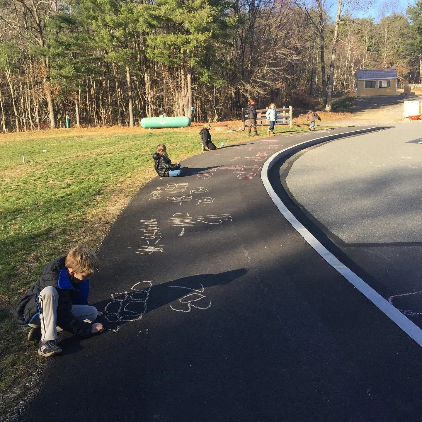 ADMISSION INQUIRY — WINDHAM WOODS SCHOOL