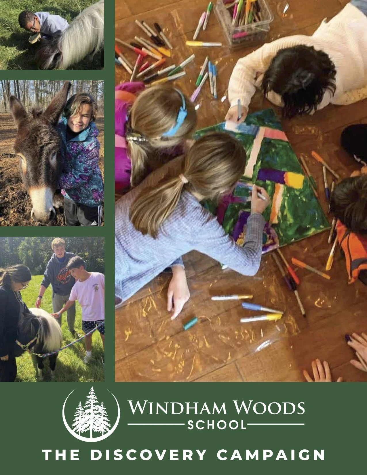 The Discovery Campaign — WINDHAM WOODS SCHOOL
