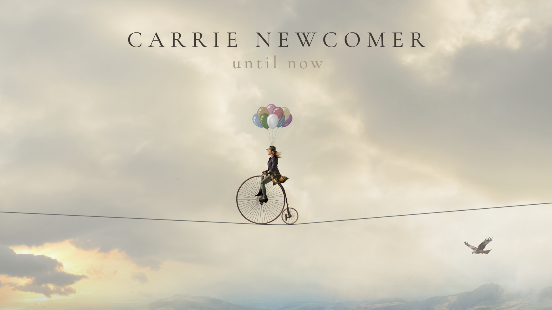 Materials — Carrie Newcomer