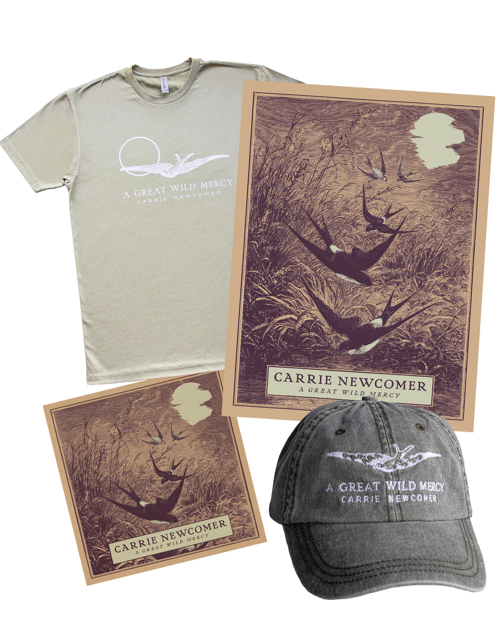 Store — Carrie Newcomer