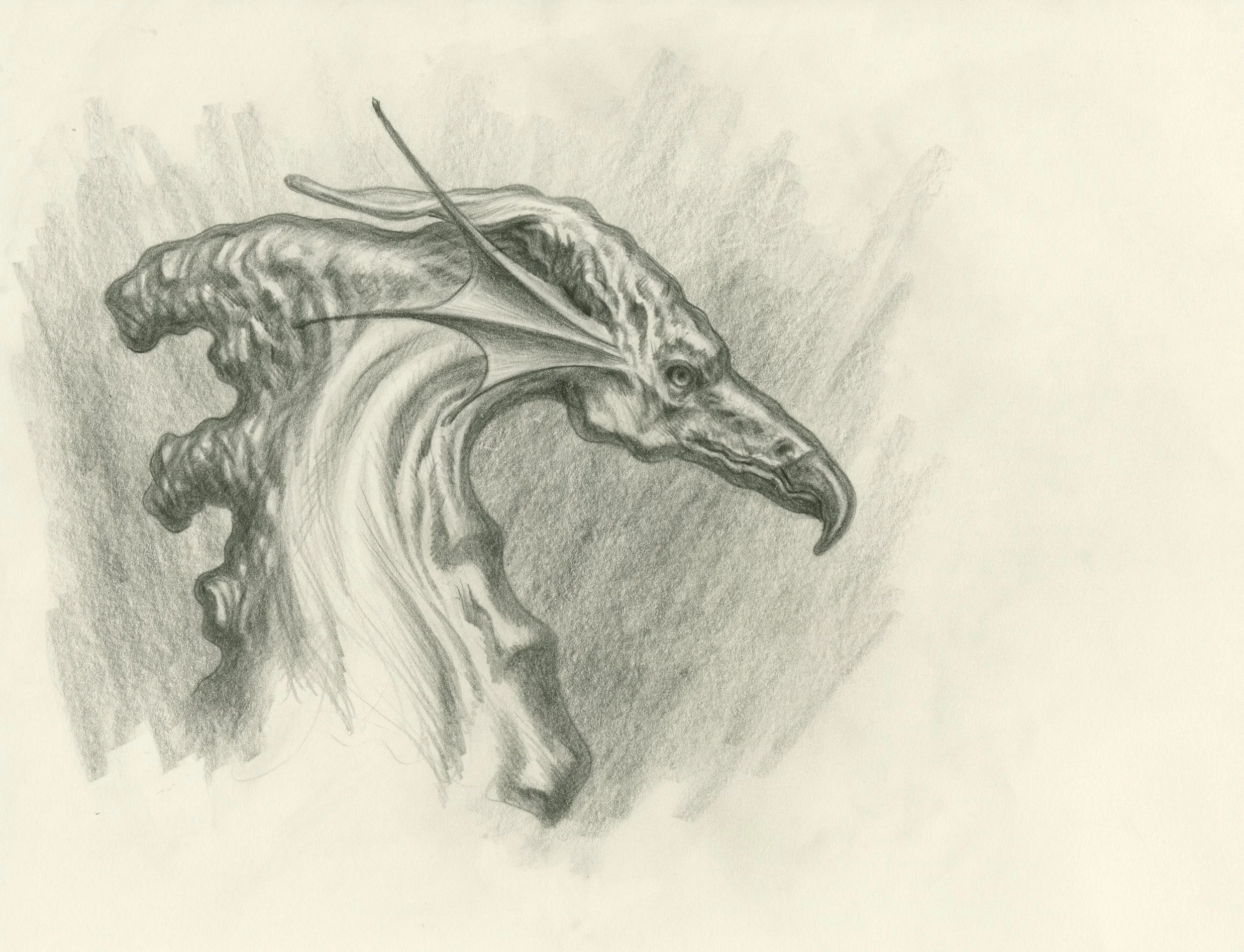 Awesome Drawings Of Dragons In Pencil