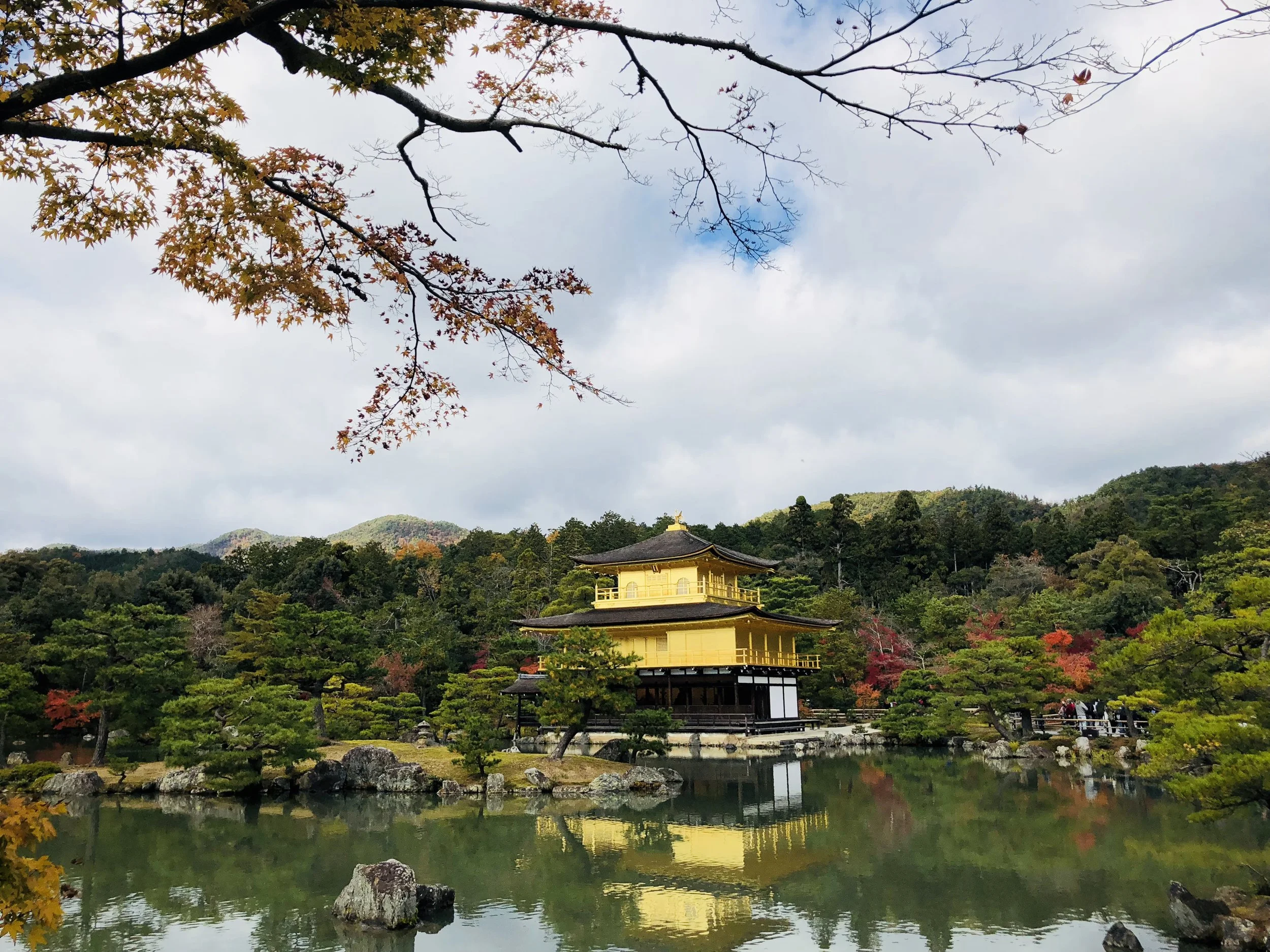 Simao Liu: From China to the States - From IBM Intern to Manager and ...