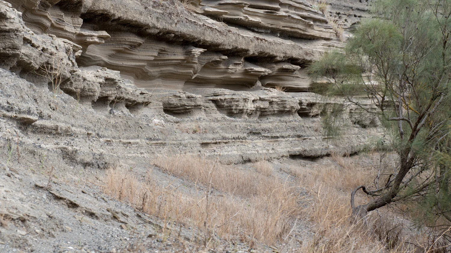 Uncovering a new layer of history in southwest Victoria — AuScope