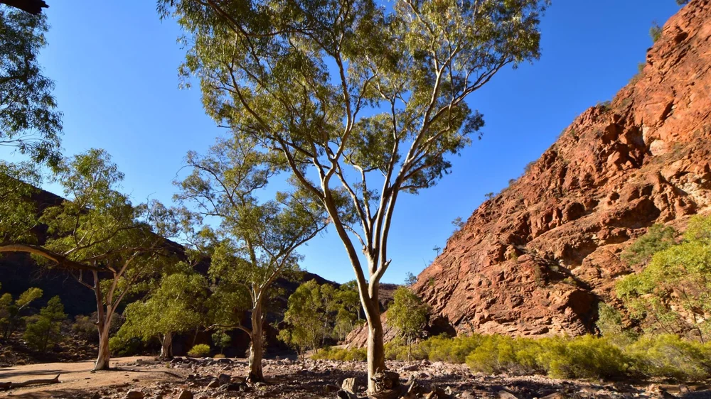 AuScope News: EarthByters unveil Ice Age secrets – EarthByte