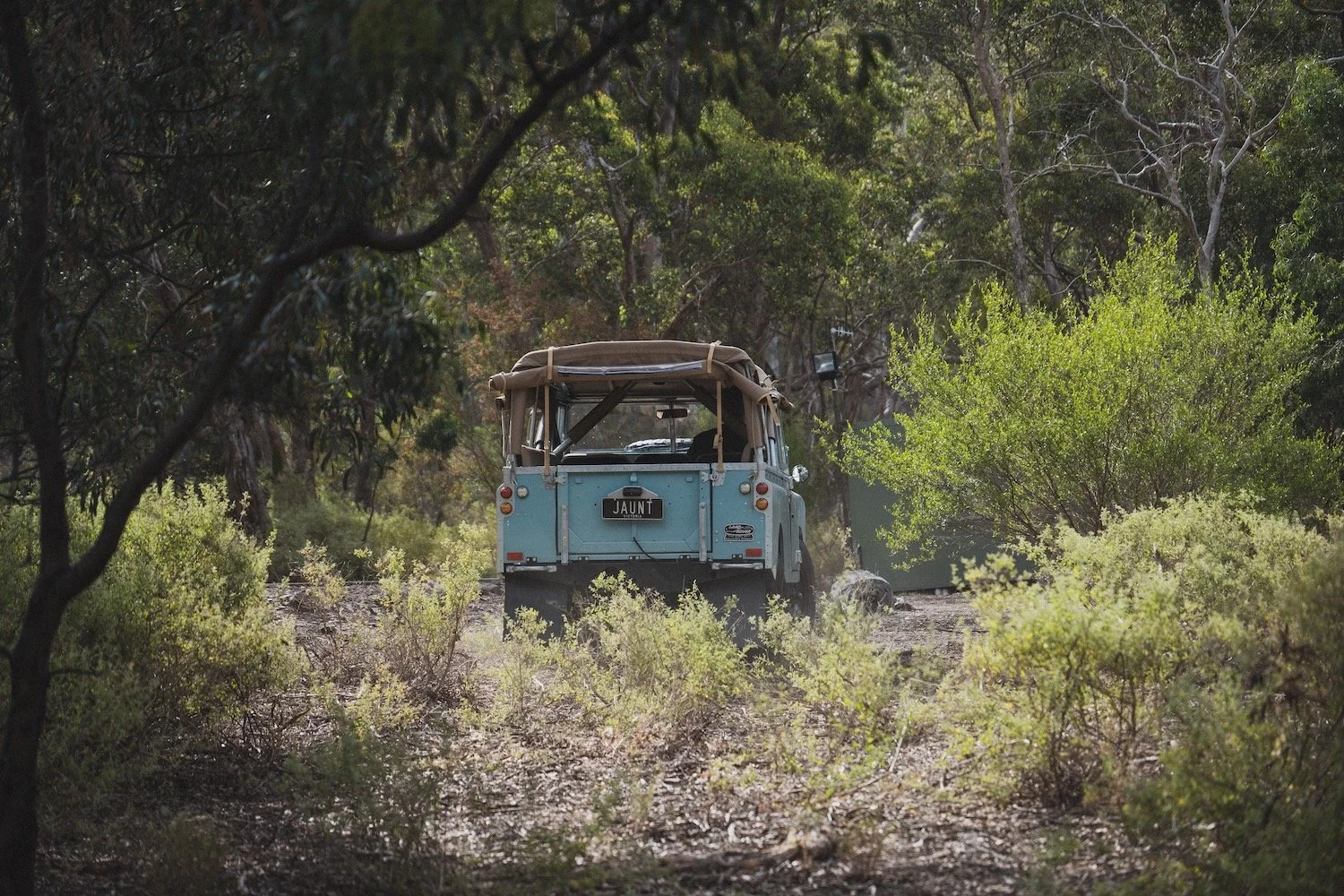 Meet David Budge - Fellten Motors — Macedon Ranges Sustainability Group