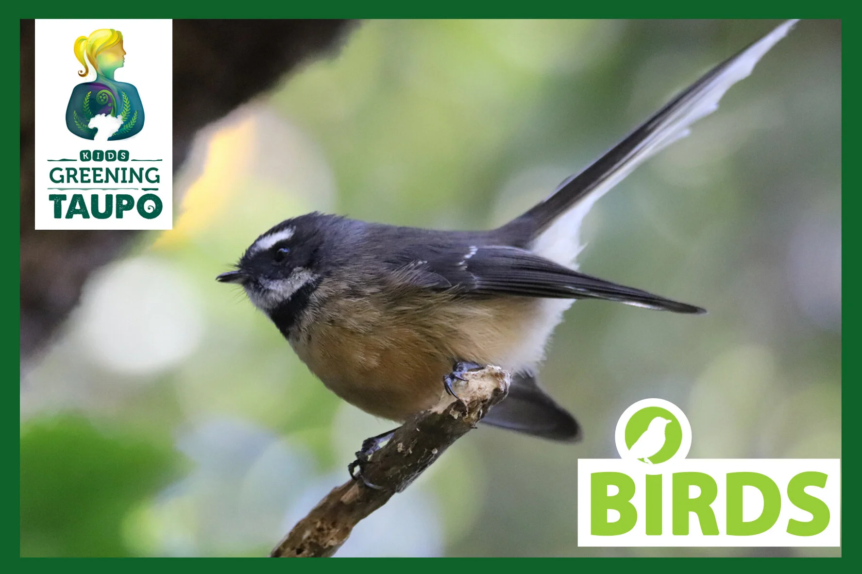 Online Nature Classroom — Kids Greening Taupo | Learning Through Nature