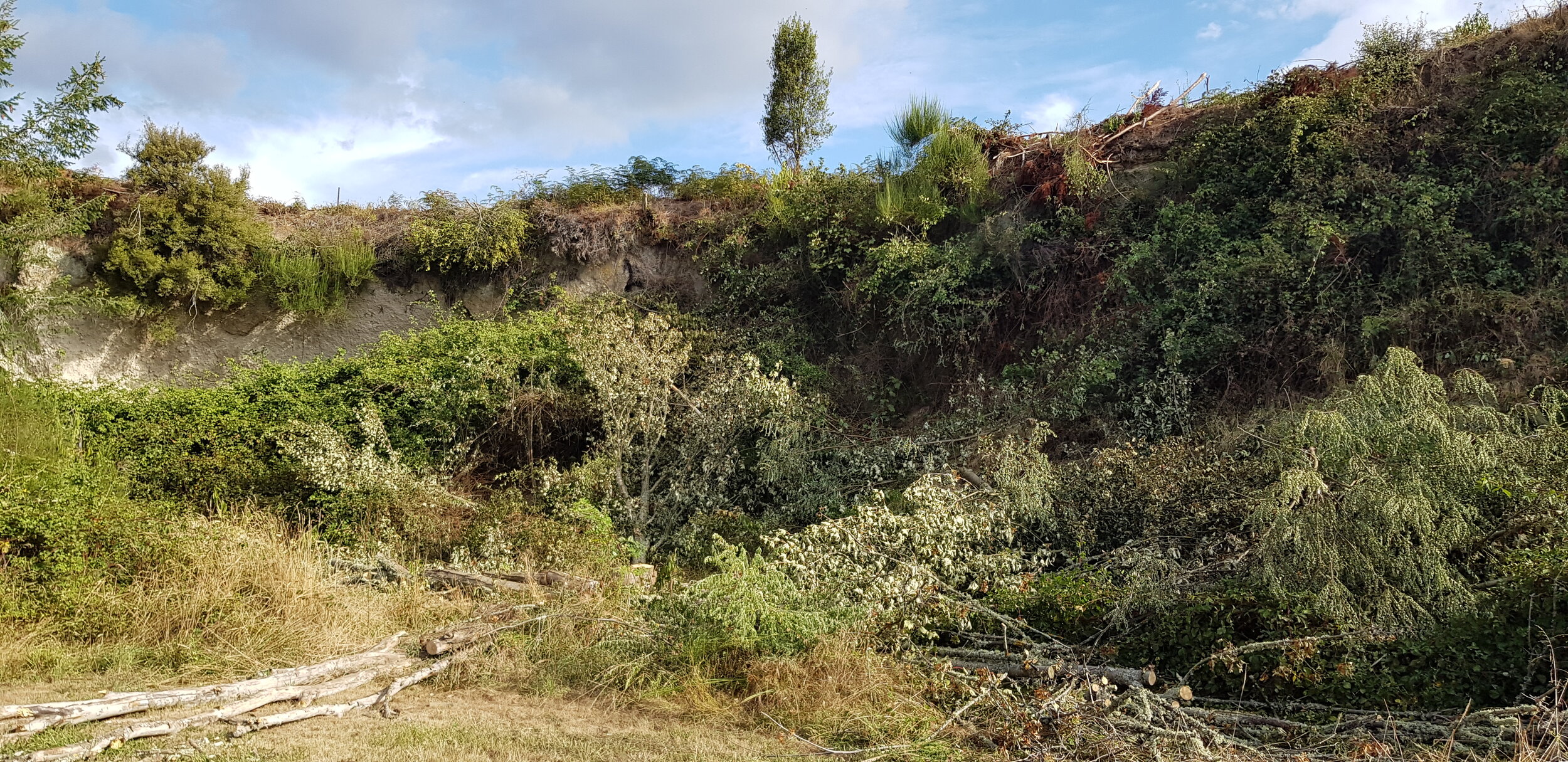 Waipahihi Gully Development Project 2021 — Kids Greening Taupo ...