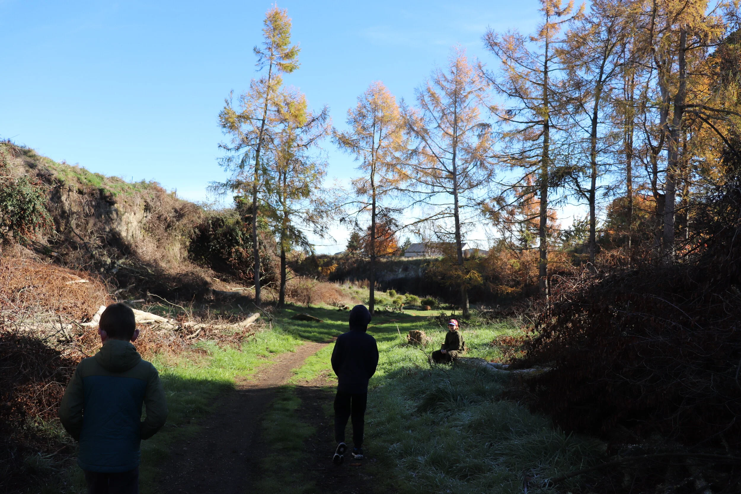 Waipahihi Gully Development Project 2021 — Kids Greening Taupo ...