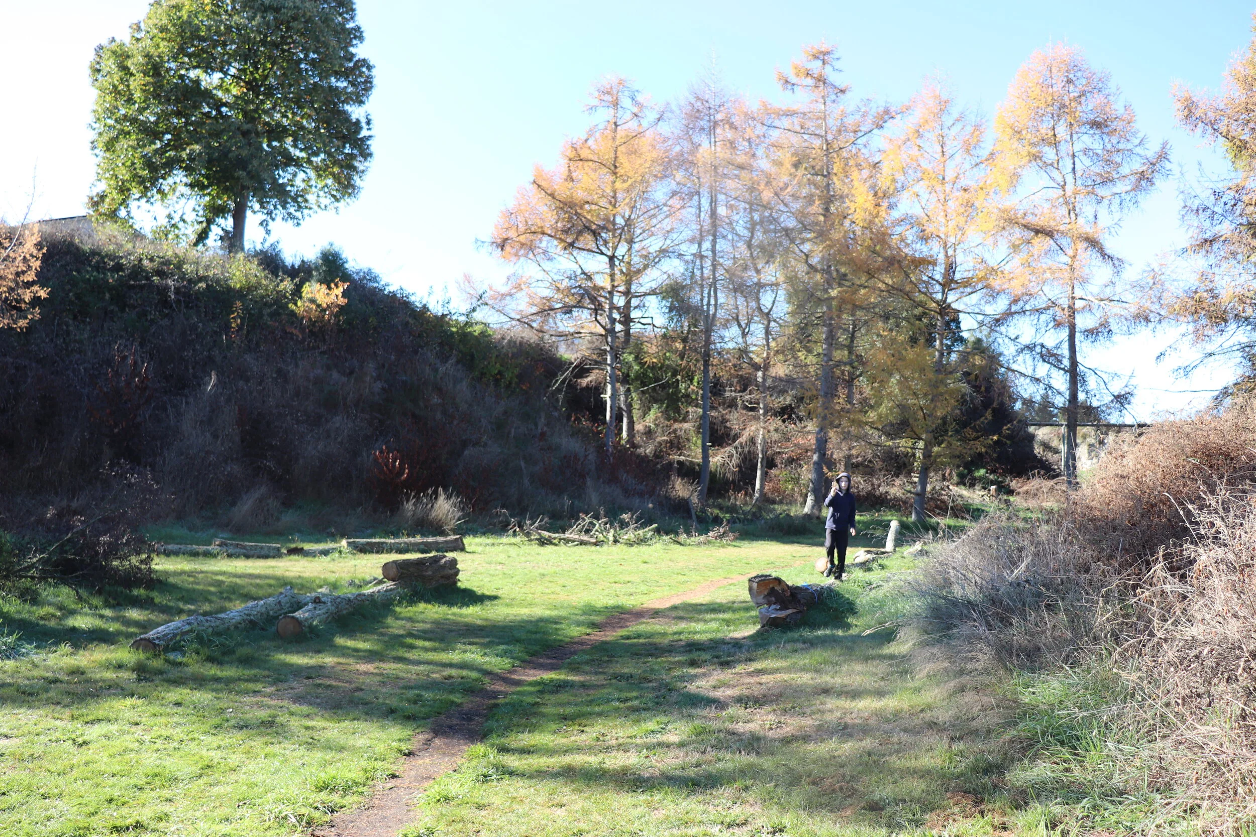 Waipahihi Gully Development Project 2021 — Kids Greening Taupo ...