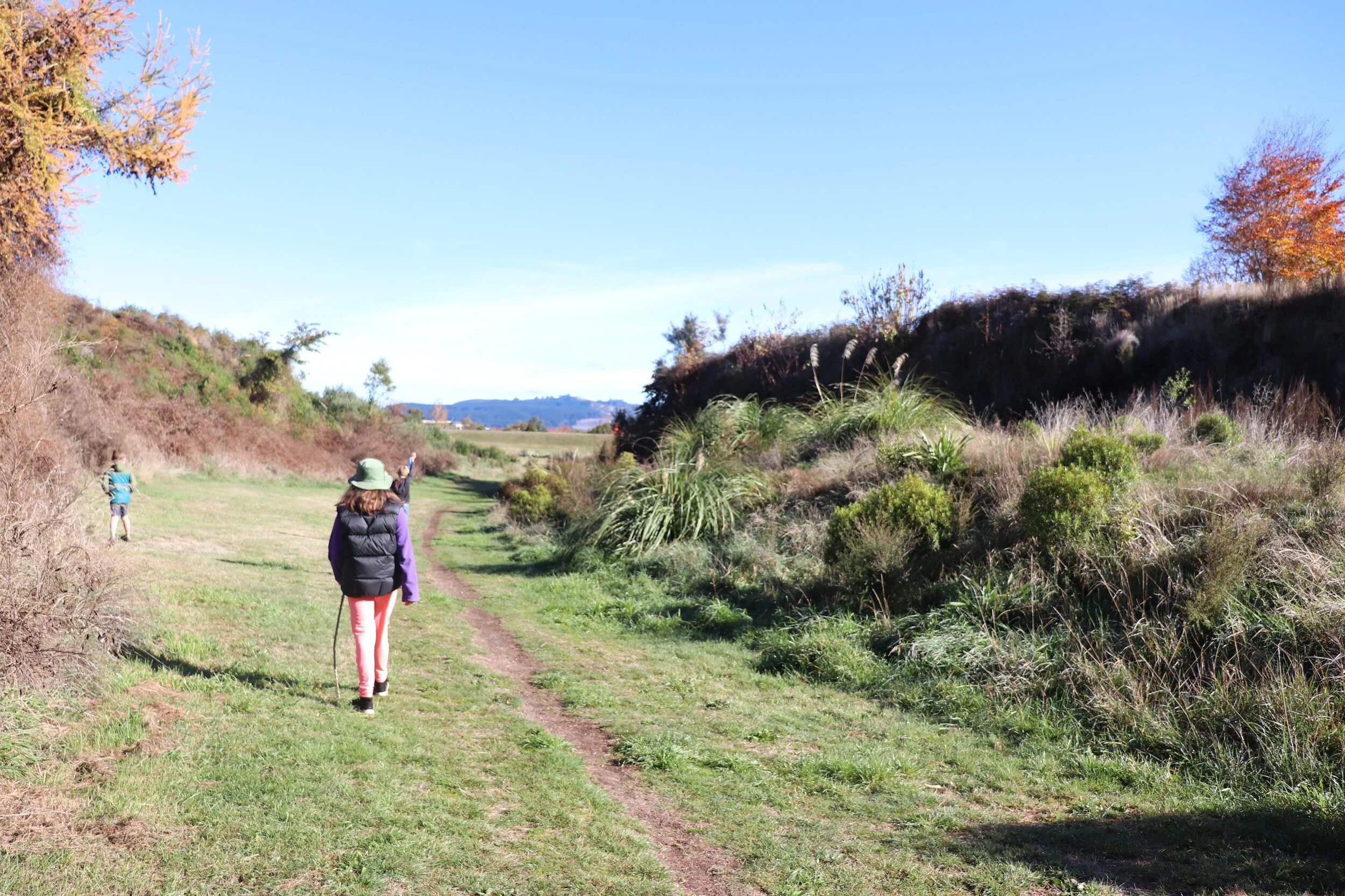 Waipahihi Gully Development Project 2021 — Kids Greening Taupo ...