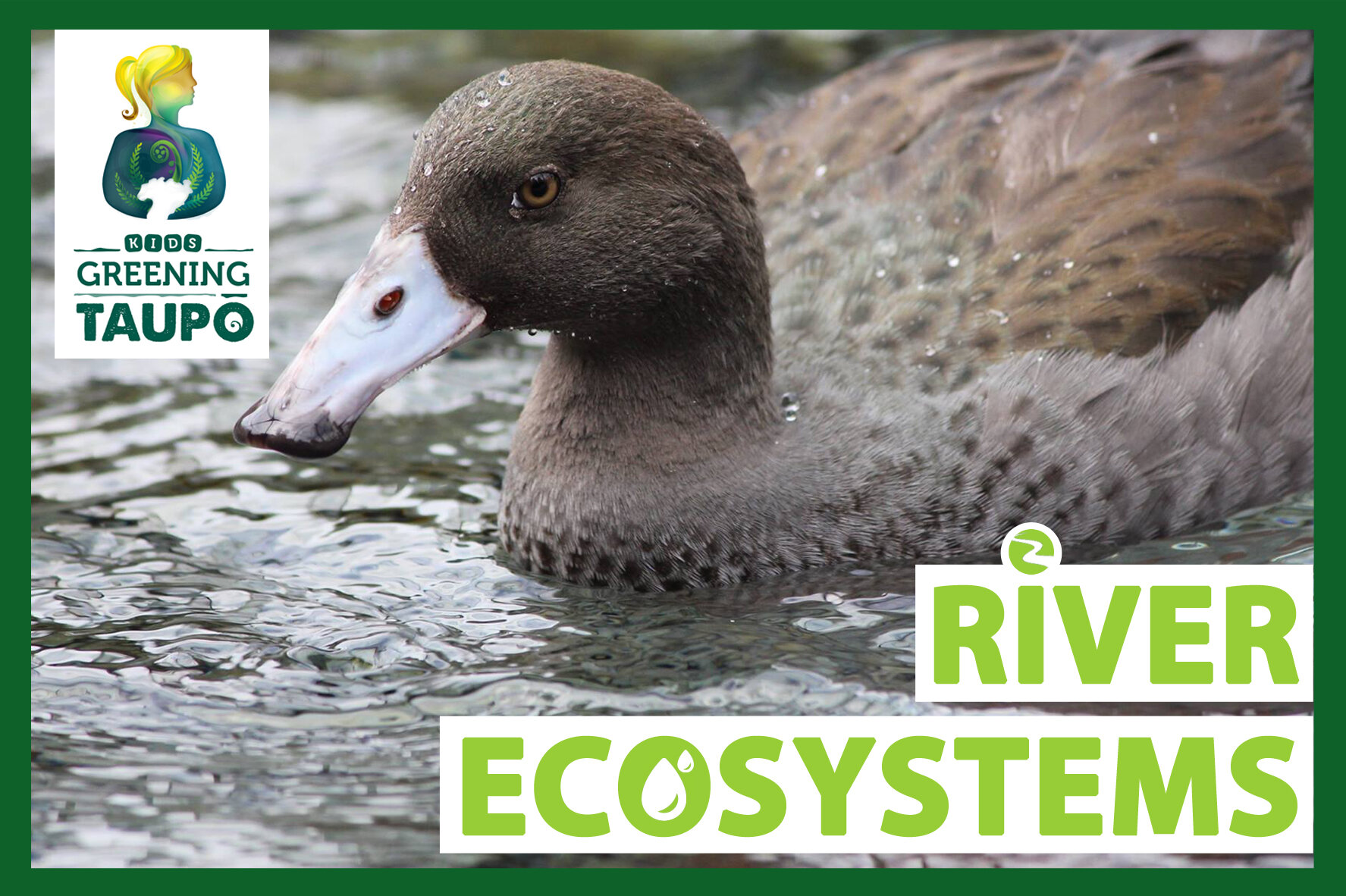 Online Nature Classroom — Kids Greening Taupo | Learning Through Nature