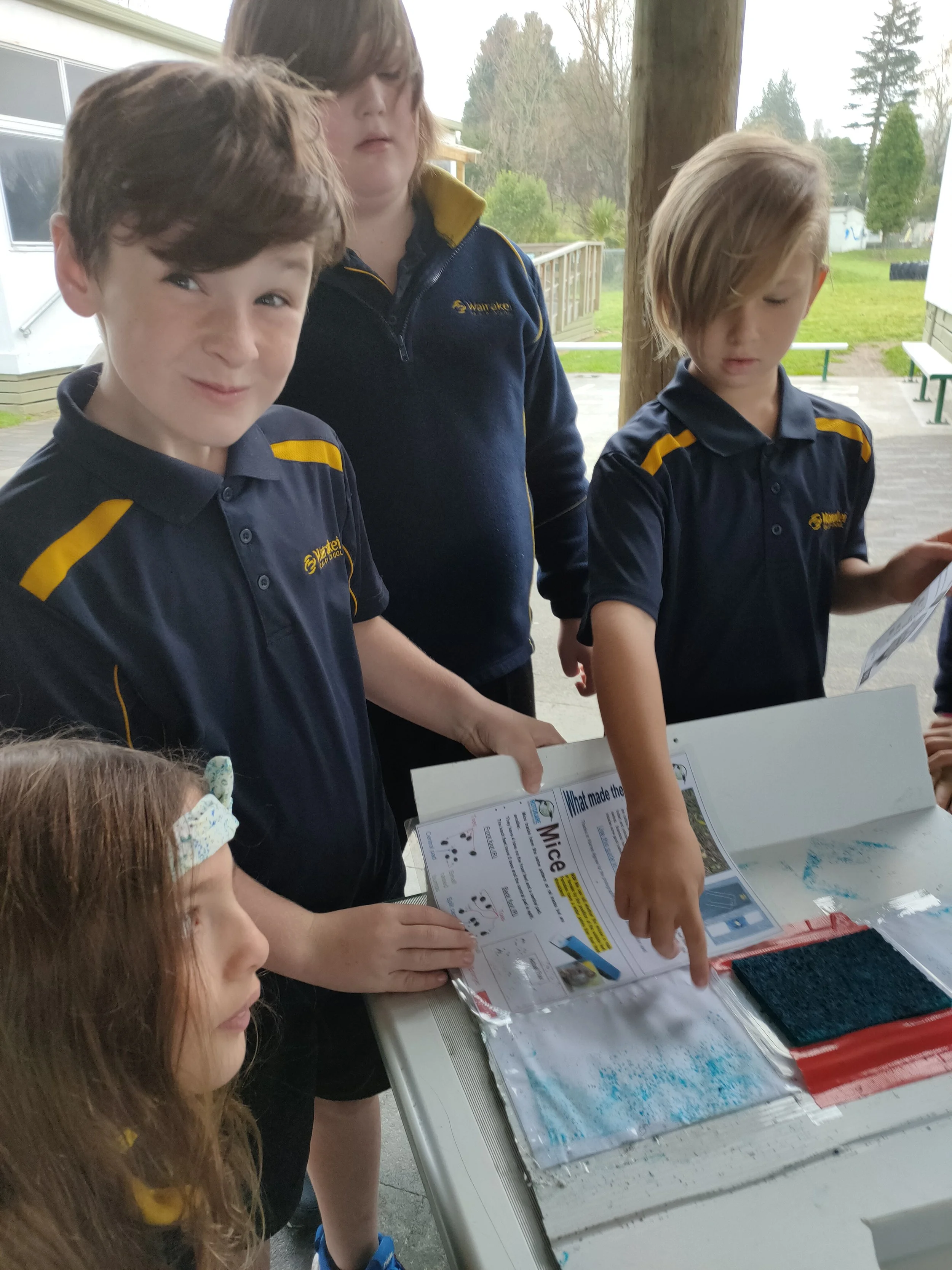 Wairakei Primary School Gully Restoration — Kids Greening Taupo ...