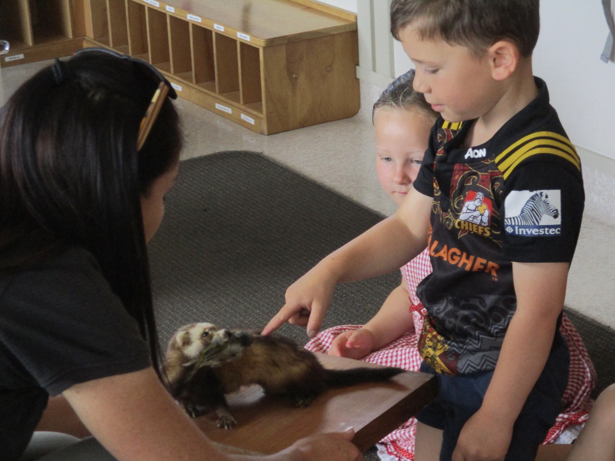 Learning about Predators with Laughton Kindergarten — Kids Greening ...