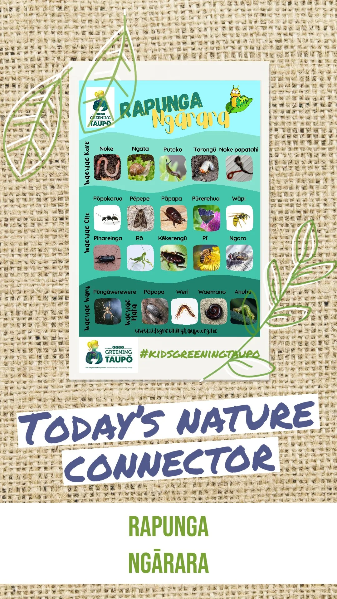 Rauemī Reo Māori — Kids Greening Taupo | Learning Through Nature