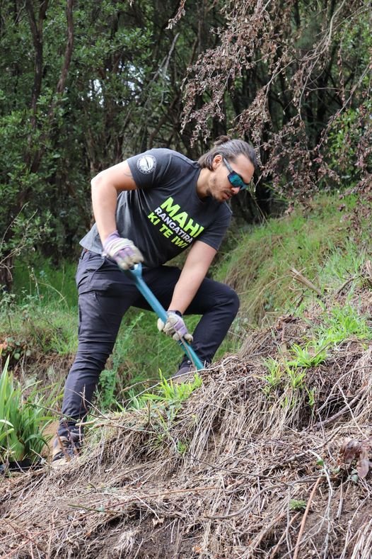 Matariki Planting Project — Kids Greening Taupo | Learning Through Nature