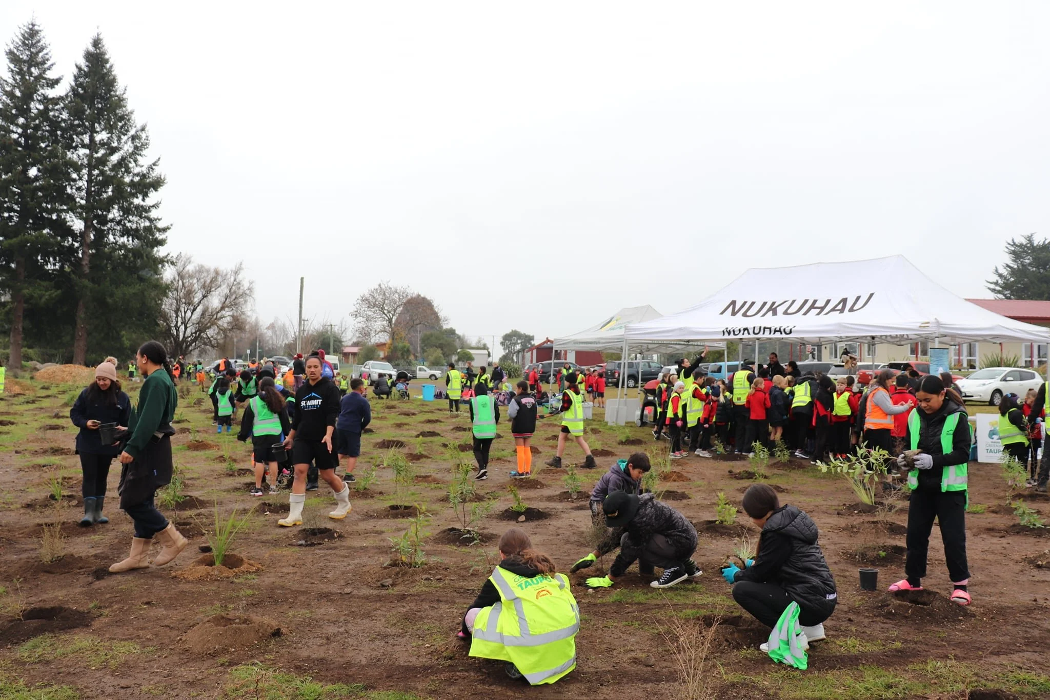 Matariki Planting Project — Kids Greening Taupo | Learning Through Nature