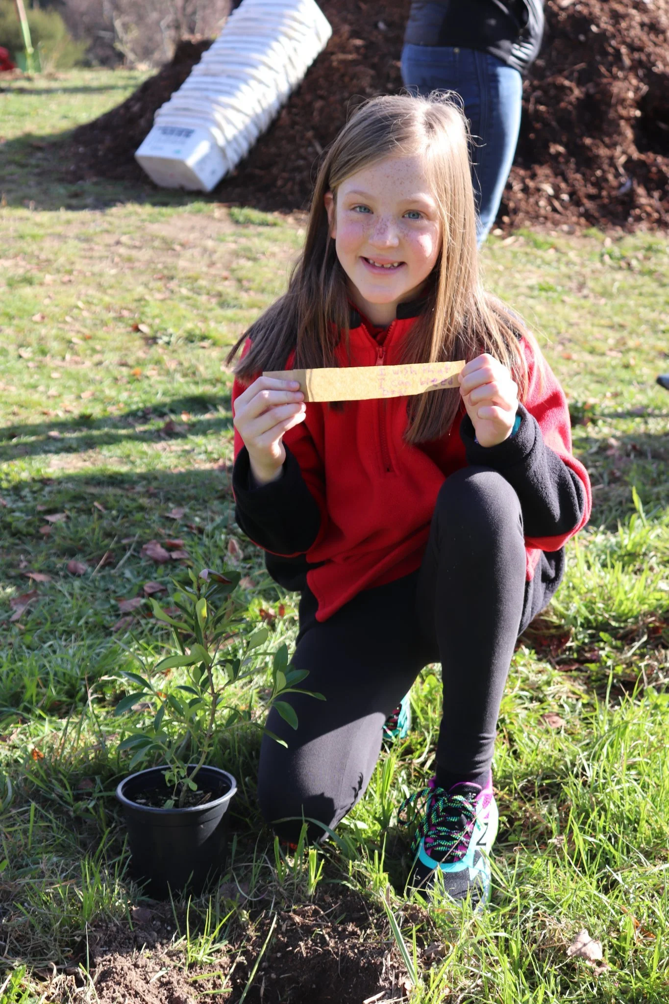 Matariki Planting Project — Kids Greening Taupo | Learning Through Nature