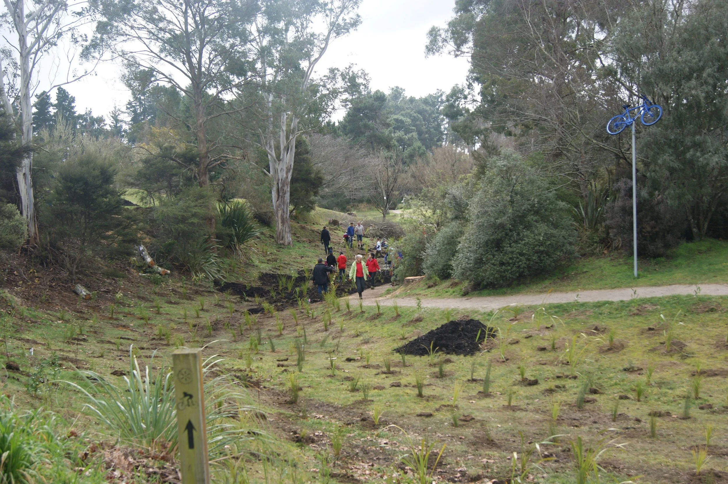 Spa Park Student Leadership Team Project — Kids Greening Taupo ...