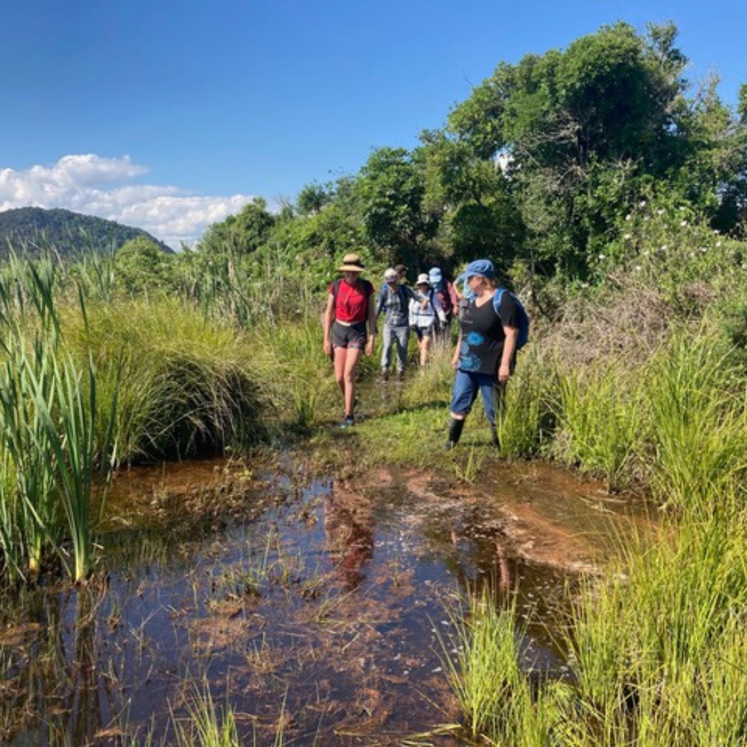 Te Mātāpuna Wetland Walk 2023 — Project Tongariro