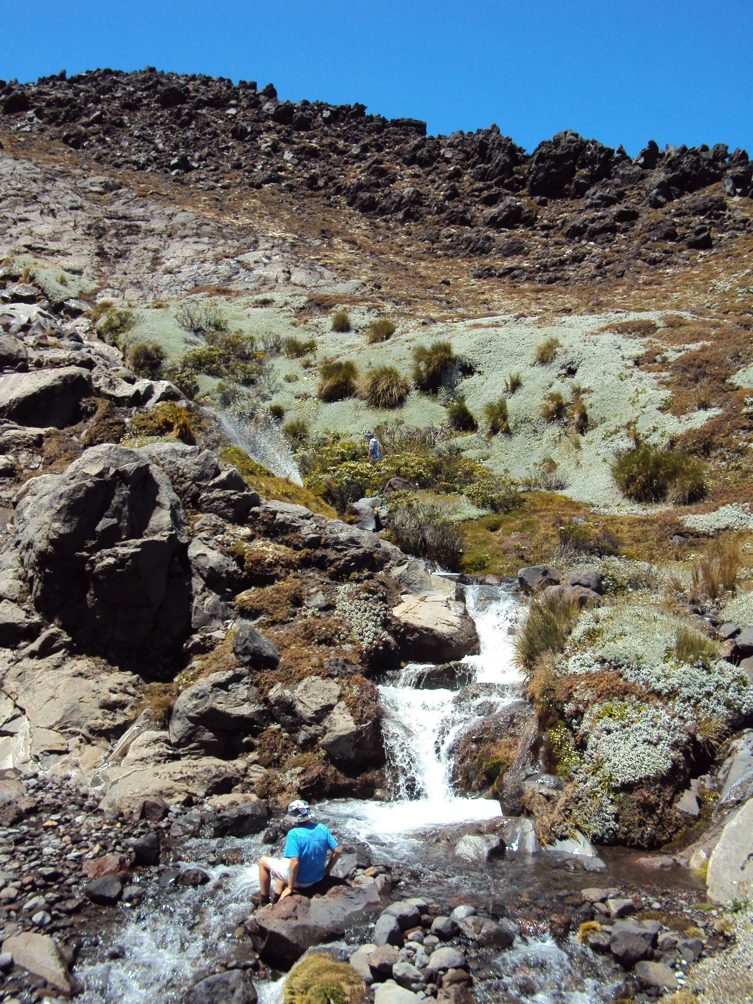 Turoa Alpine South East Basin Meander — Project Tongariro