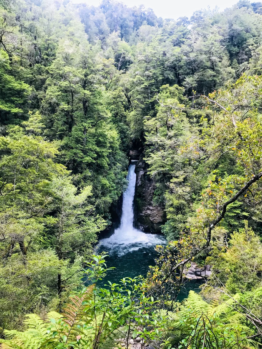 Tauranga-Taupo Waterfall Tramp — Project Tongariro