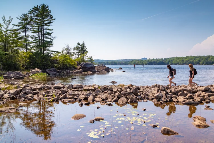 Keep Halifax Wild