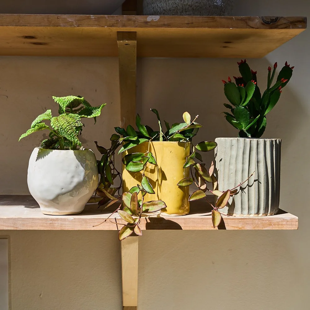 Hand / Thrown Ceramics Studio