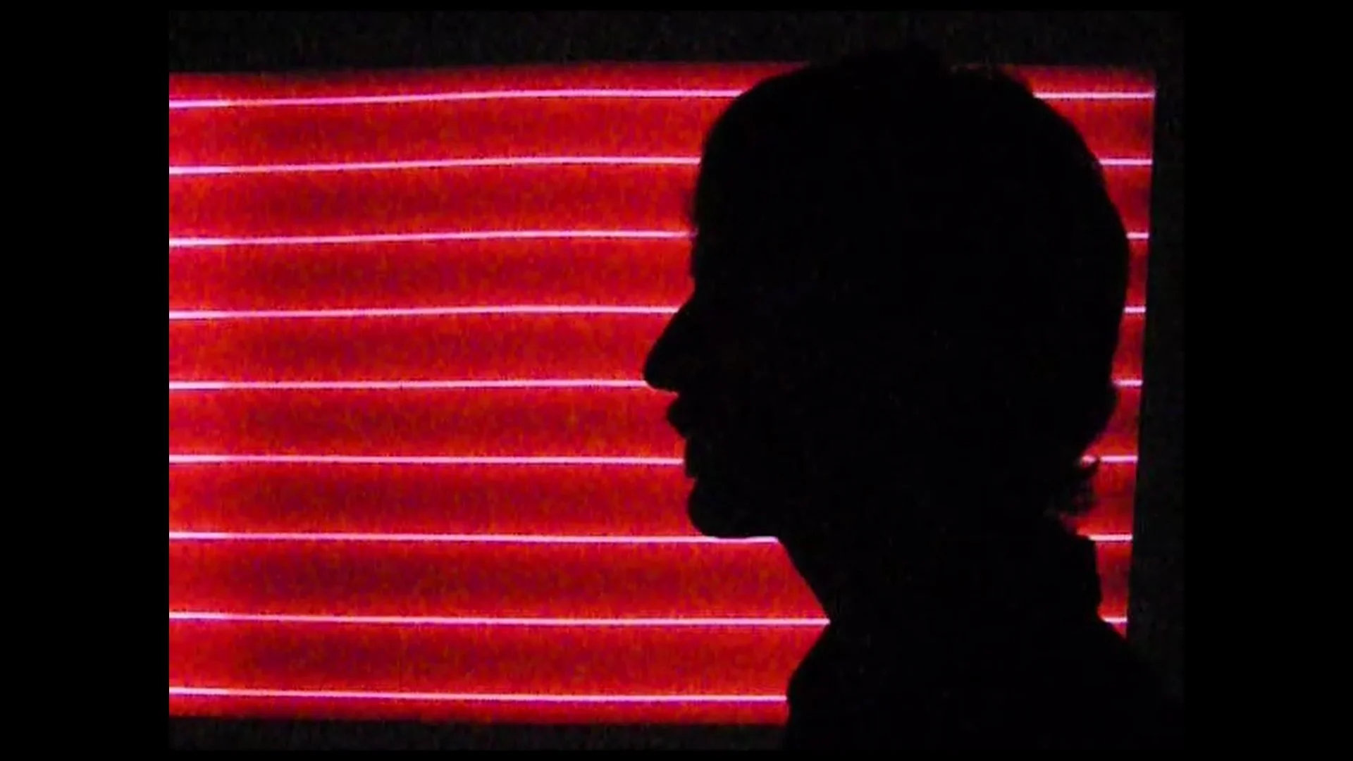 Tim Buds - Zoo — Travis Karr