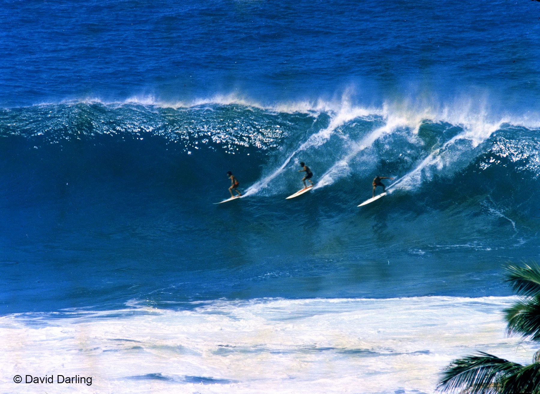 History of Surfing | Dick Brewer Surfboards