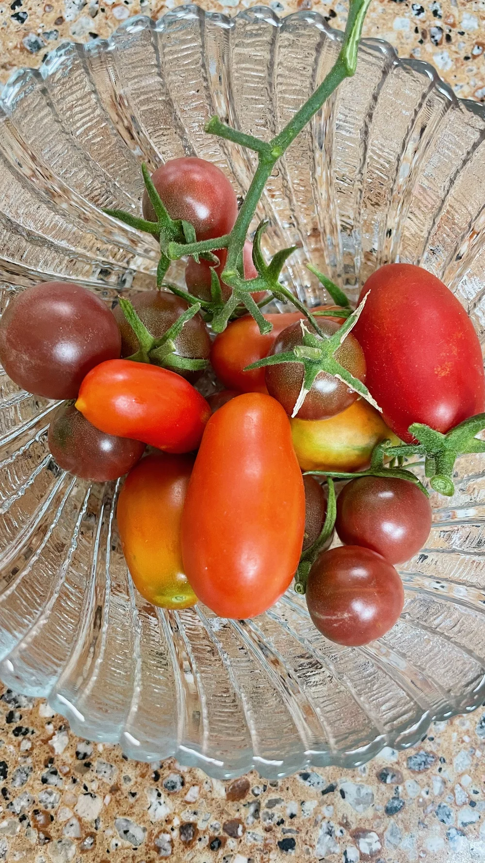 Exploring the History of Tomatoes in Italy and My Favorite Varieties ...