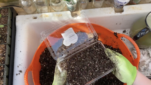 Essential Seed Starting Gear & Tools: Must-Have Equipment for Gardeners ...