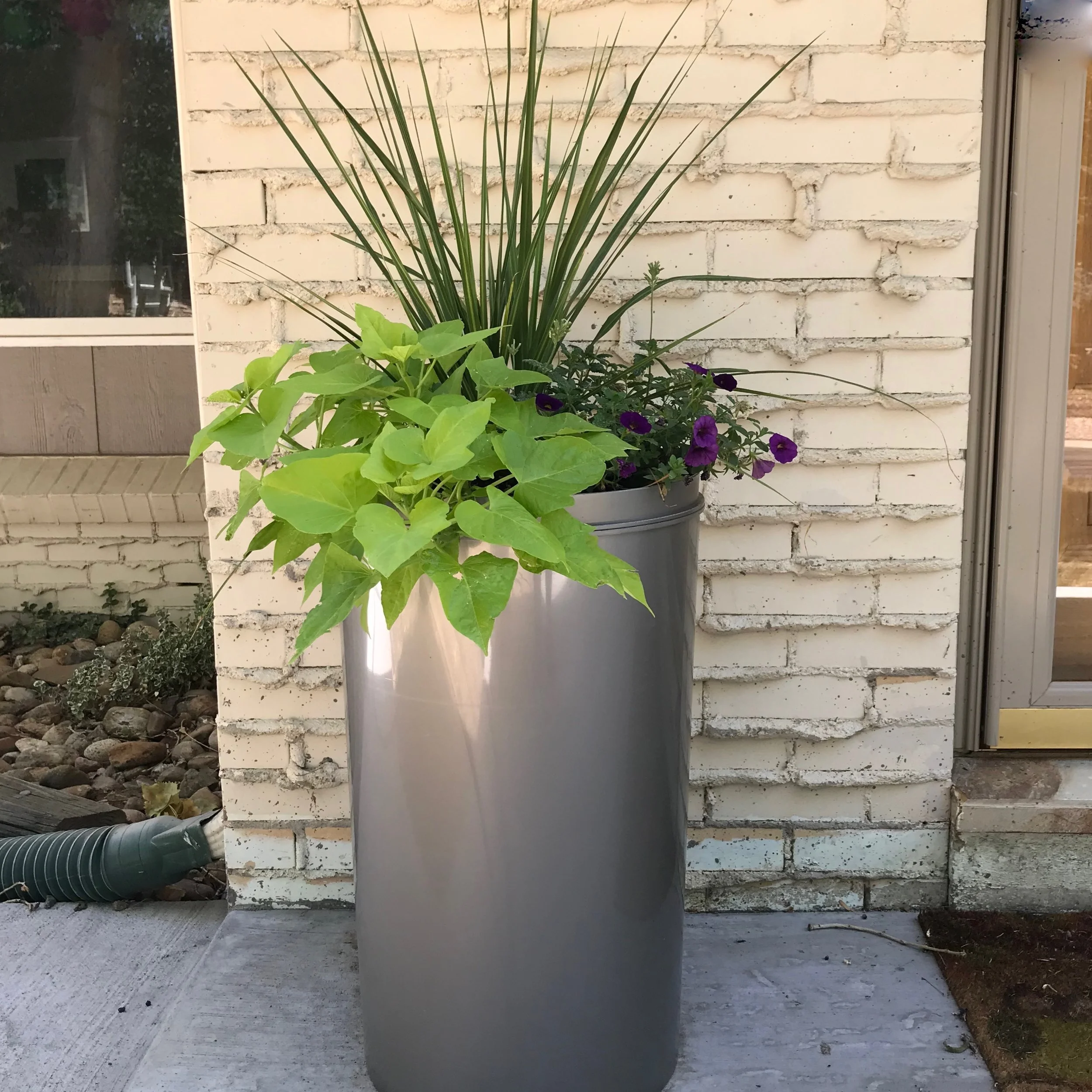 How to Make a Planter from a Trash Can: Creative DIY Gardening Project ...