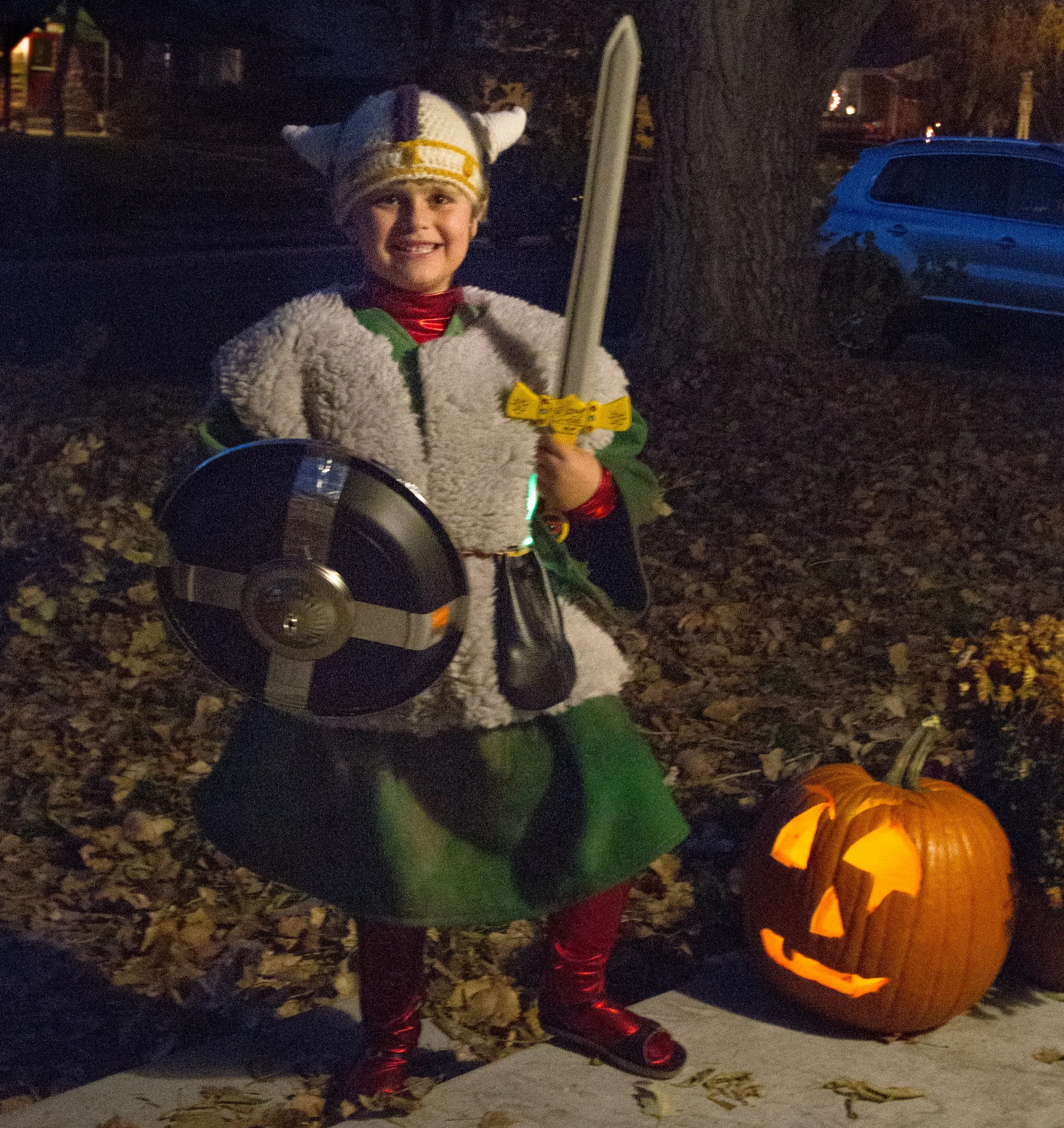Viking Costume — Wild Revival Garden & Home