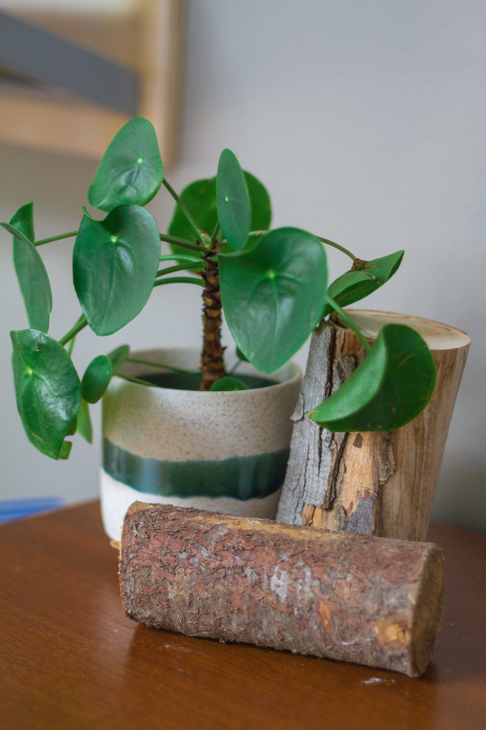 Create a Home Classroom for Online Learning — Wild Revival Garden & Home
