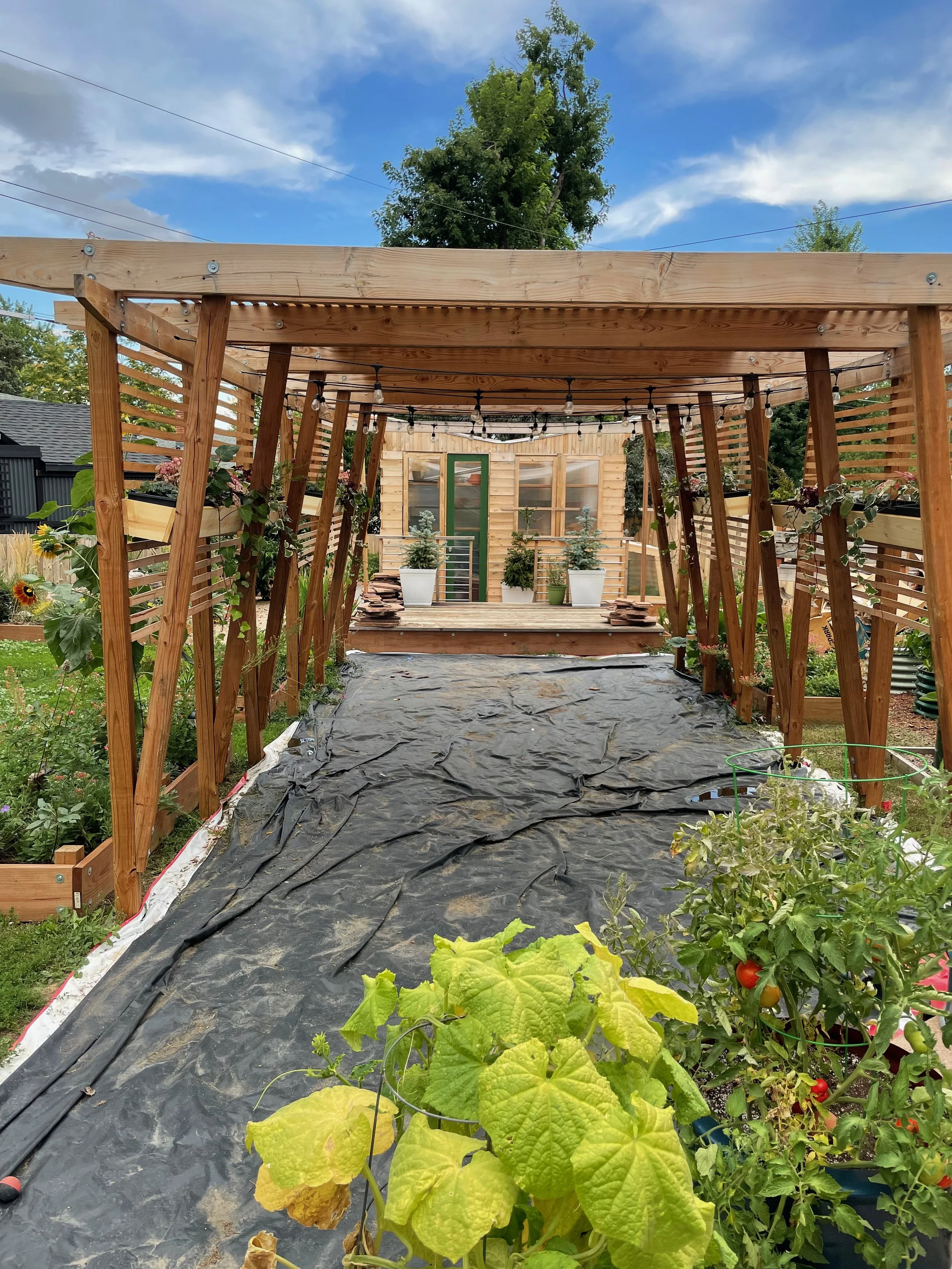 9 Effective Ways to Create Shade in Your Backyard: Simple Solutions for ...