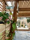 9 Effective Ways to Create Shade in Your Backyard: Simple Solutions for ...