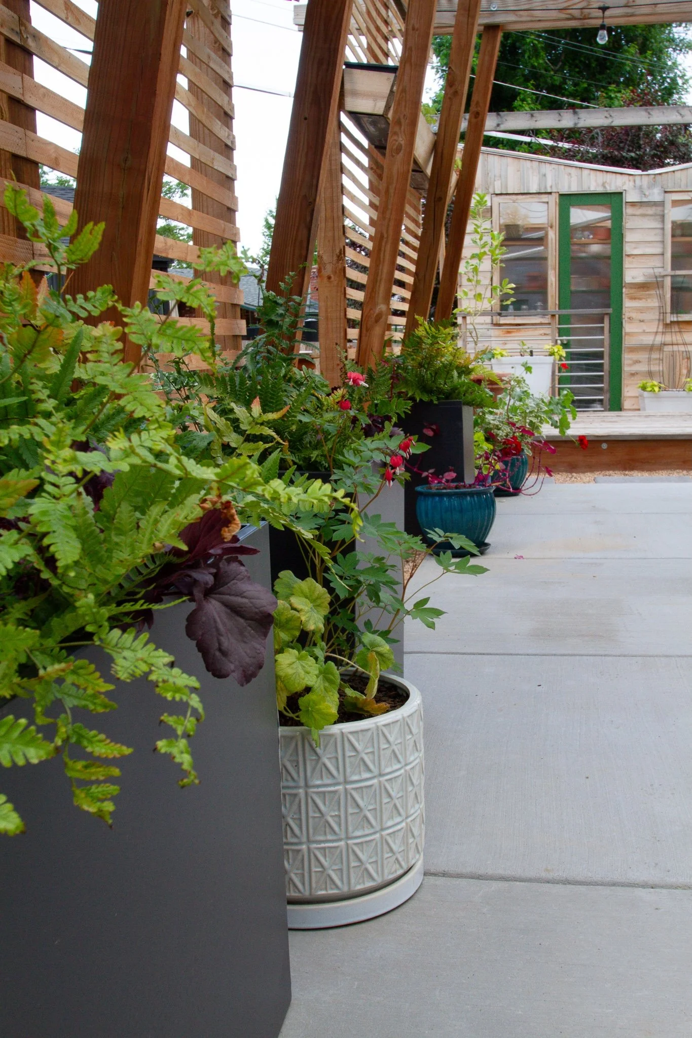 How We Built Our Backyard Shade House: A DIY Pergola Inspired by ...
