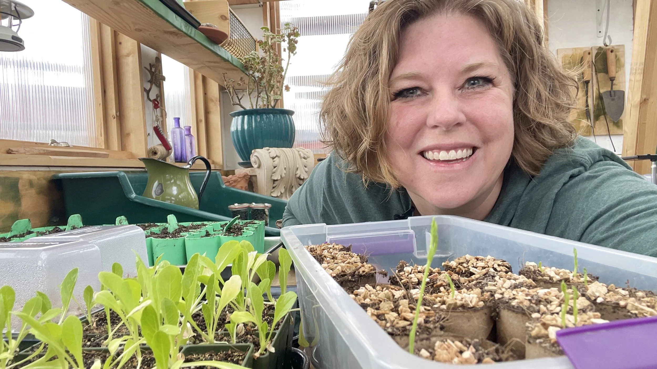 Essential Seed Starting Gear & Tools: Must-Have Equipment for Gardeners ...