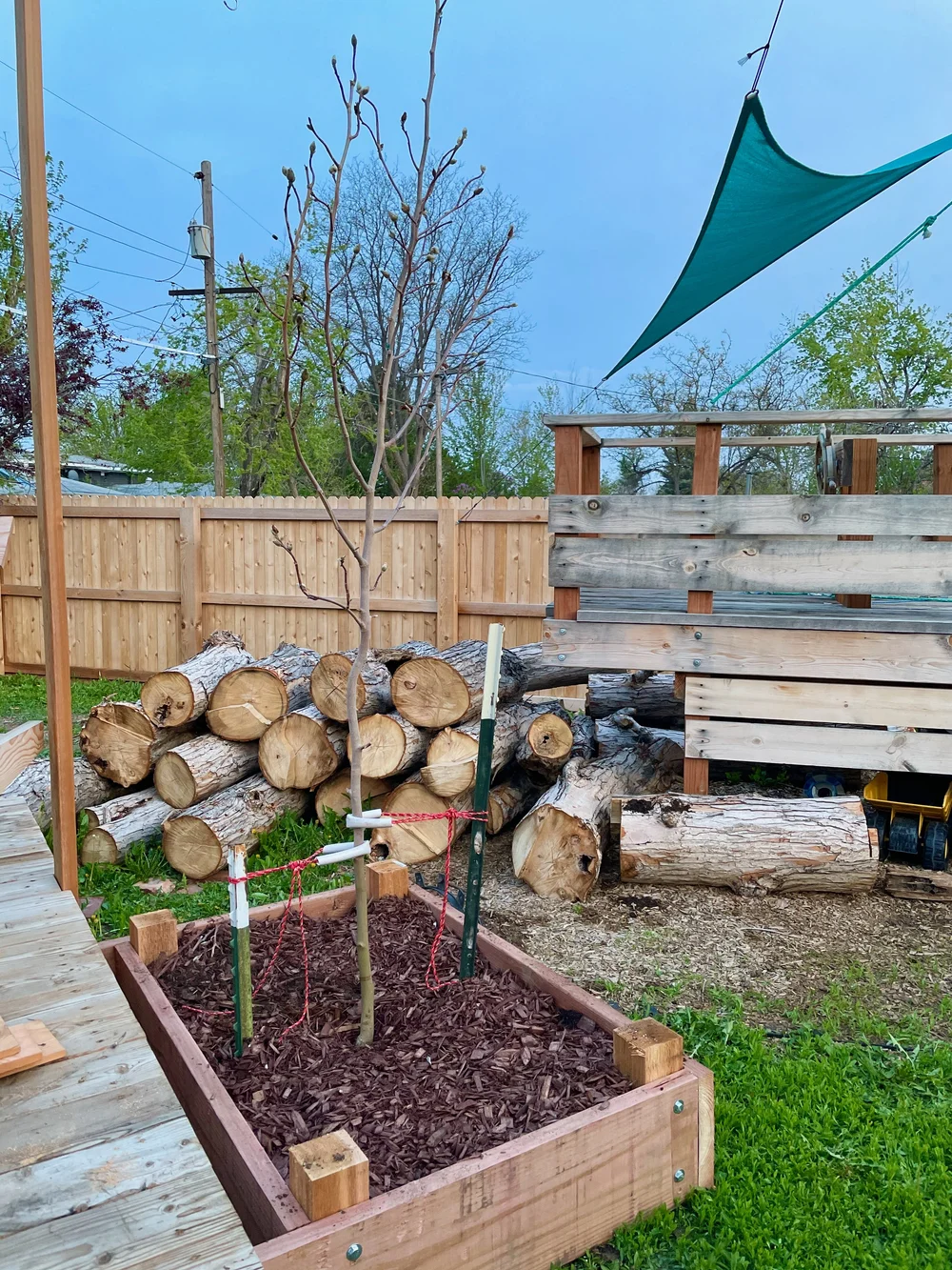 How to Use Dead Wood in Your Garden to Create Wildlife Habitats — Wild ...