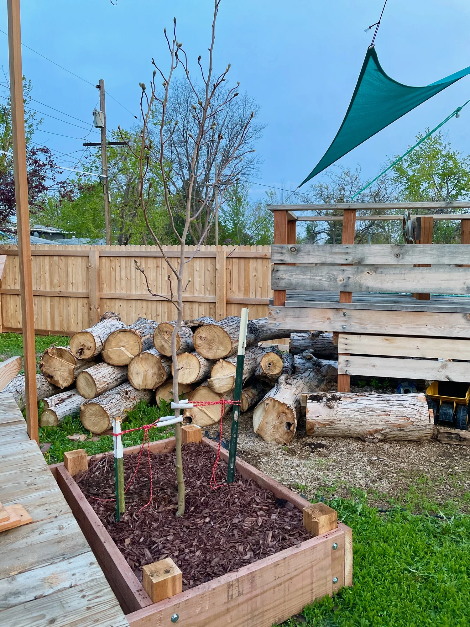 How to Use Dead Wood in Your Garden to Create Wildlife Habitats — Wild ...