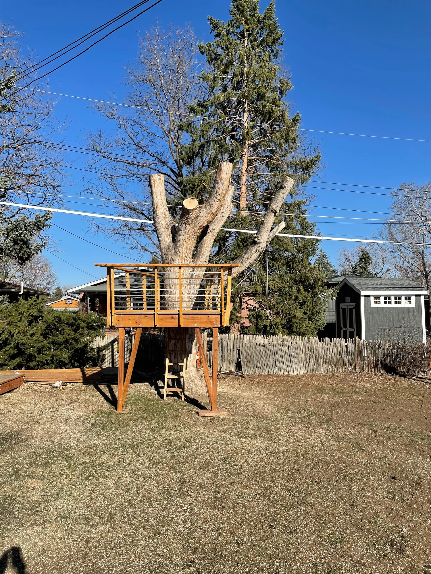 How to Use Dead Wood in Your Garden to Create Wildlife Habitats — Wild ...