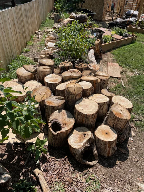 How to Use Dead Wood in Your Garden to Create Wildlife Habitats — Wild ...