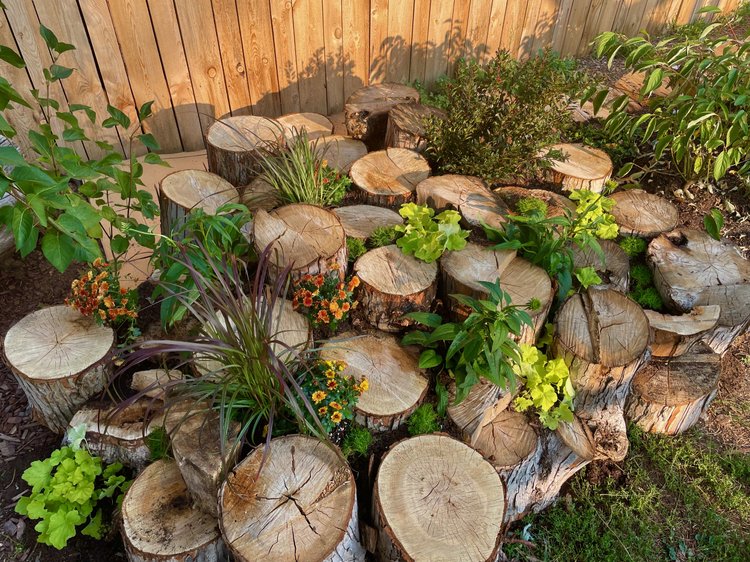 How to Use Dead Wood in Your Garden to Create Wildlife Habitats — Wild ...