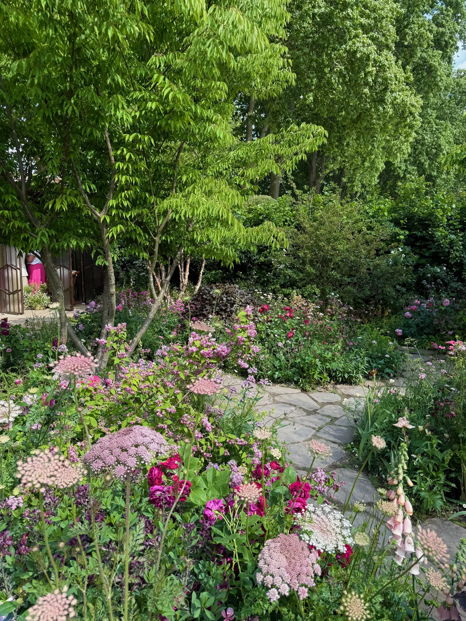 Why Latin Plant Names Matter: A Home Gardener’s Guide to Growing with ...